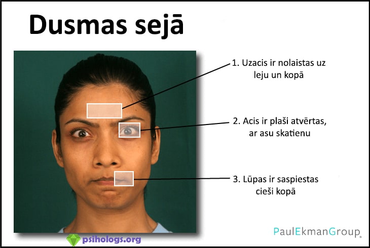 Emocijas - Psihologa konsultācija un pakalpojumi